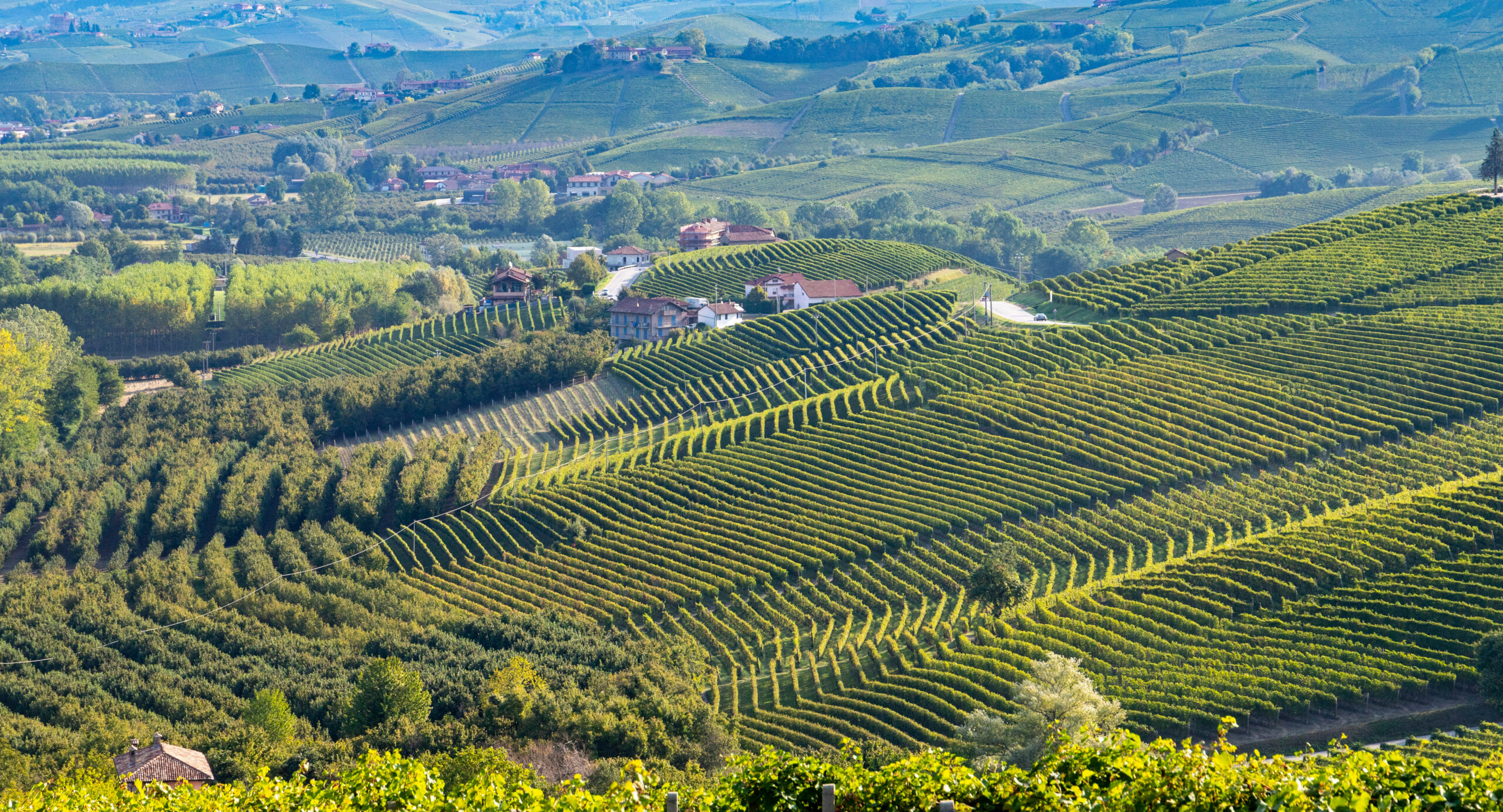 The Truffle Route on La Dolce Vita Orient Express